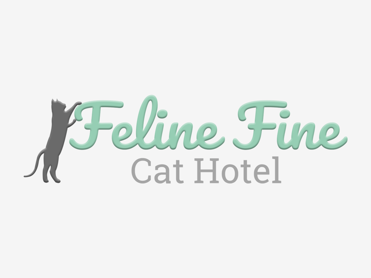 Fees - Feline Fine Cat Hotel, Hampshire's Purrfect Cat Hotel